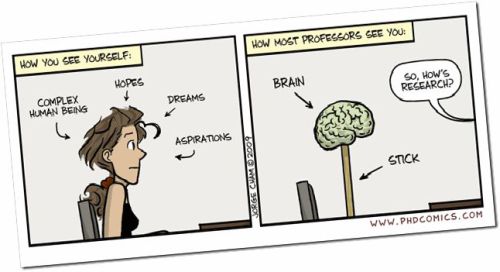 Cartoons on University Teaching – From experience to meaning…