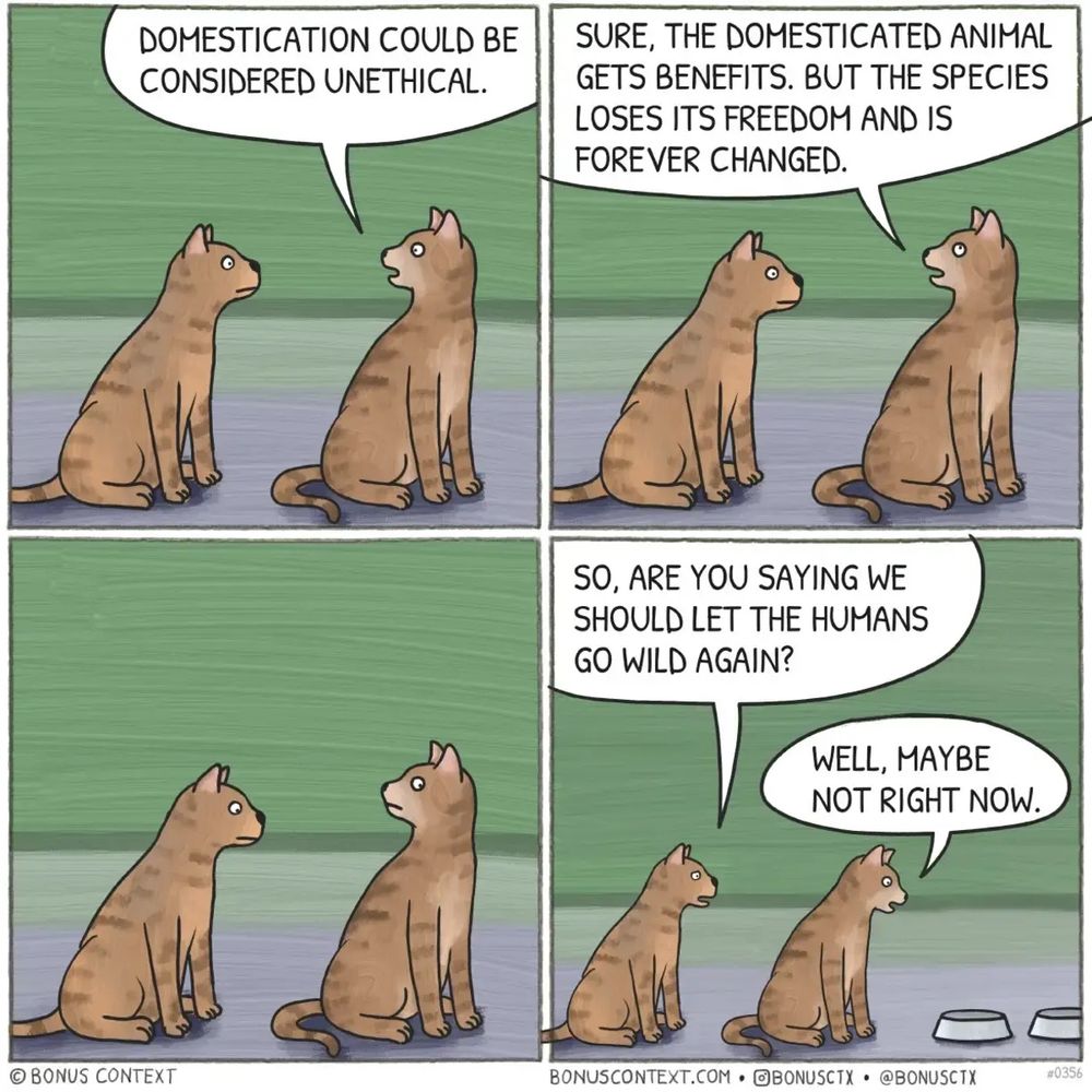 Funny on Sunday: Domestication - From experience to meaning...
